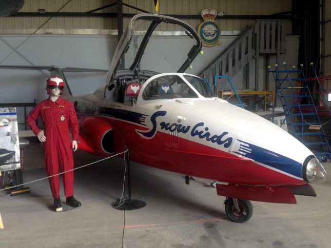 Tutor-Snowbirds - Robertdall.com